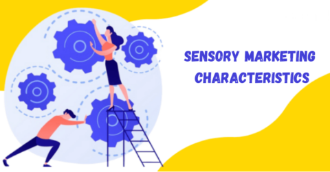 Sensory Marketing: Definition, Types And Examples | Getlinko